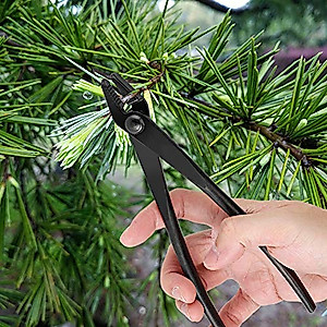 Bonsai Pliers, 200mm Black Manganese Steel Alloy Branch Pliers Bonsai Wire Plier with Round End for Safe Use Gardening Tool Bonsai Tools
