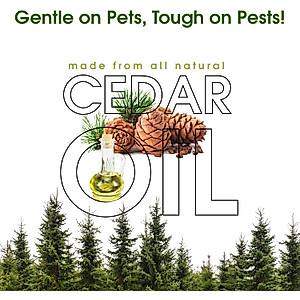 Paws and Claws Pet Spray - Natural Flea and Tick Repellent with Cedar Oil - Effective and Safe Pest Control for Dogs and Cats, Helps Repels Fleas, Ticks, and Mites, Pet Friendly (1 Gallon)