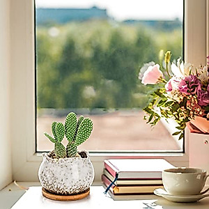 TOPZEA Set of 6 Succulent Plant Pot, 4 Inch Glazed Ceramic Plant Pots Cactus Succulent Pot with Drainage and Saucer, Mini Bonsai Planter Small Flower Pot for Indoor Outdoor