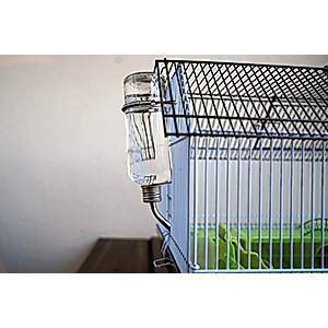 Oxbow Enriched Life Chew Proof Glass Water Bottle, 8oz / 237ml