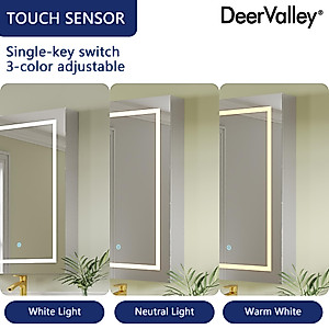 Deer Valley Lighted Medicine Cabinet with Mirror, 24" W x 36" H Led Medicine Cabinet, Bathroom Wall Mounted Modern Mirrored Medicine Cabinets with Storage Organizer