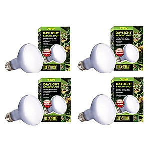Exo Terra Sun-Glo Basking Spot Lamp, 75-Watt/120-Volt (4 Pack)