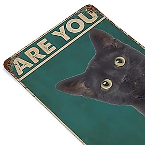 are You Pooping Cat Bathroom Funny Novelty Metal Sign Retro Wall Decor for Home Gate Garden Bars Restaurants Cafes Office Store Club Sign Gift Plaque Tin Sign 8 X 12 INCH