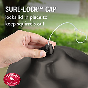 Perky-Pet 325SCOMBO-1SR Large 2-Tier Outdoor Panorama Wild Bird Feeder with Hanging Hook - 4.5 lb Seed Capacity