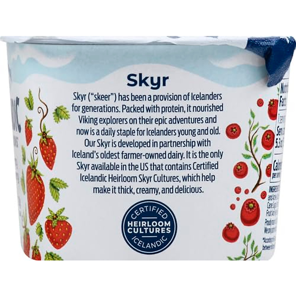 Icelandic Provisions, Strawberry and Lingonberry Thick and Creamy SKYR, 5.3 Ounce