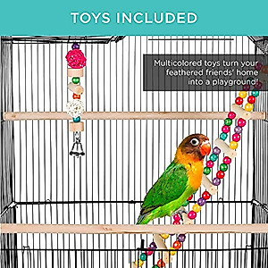 Best Choice Products 36in Indoor/Outdoor Iron Bird Cage for Medium Small Birds, Parrot, Lovebird, Finch, Parakeets, Cockatiel Enclosure w/Removable Tray, 4 Feeders, 2 Toys