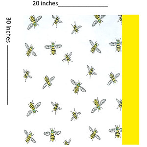 Gift Bags with Match Tissue Paper Tags and Raffia Ribbon - 3 Total Assorted Sizes (BEE)