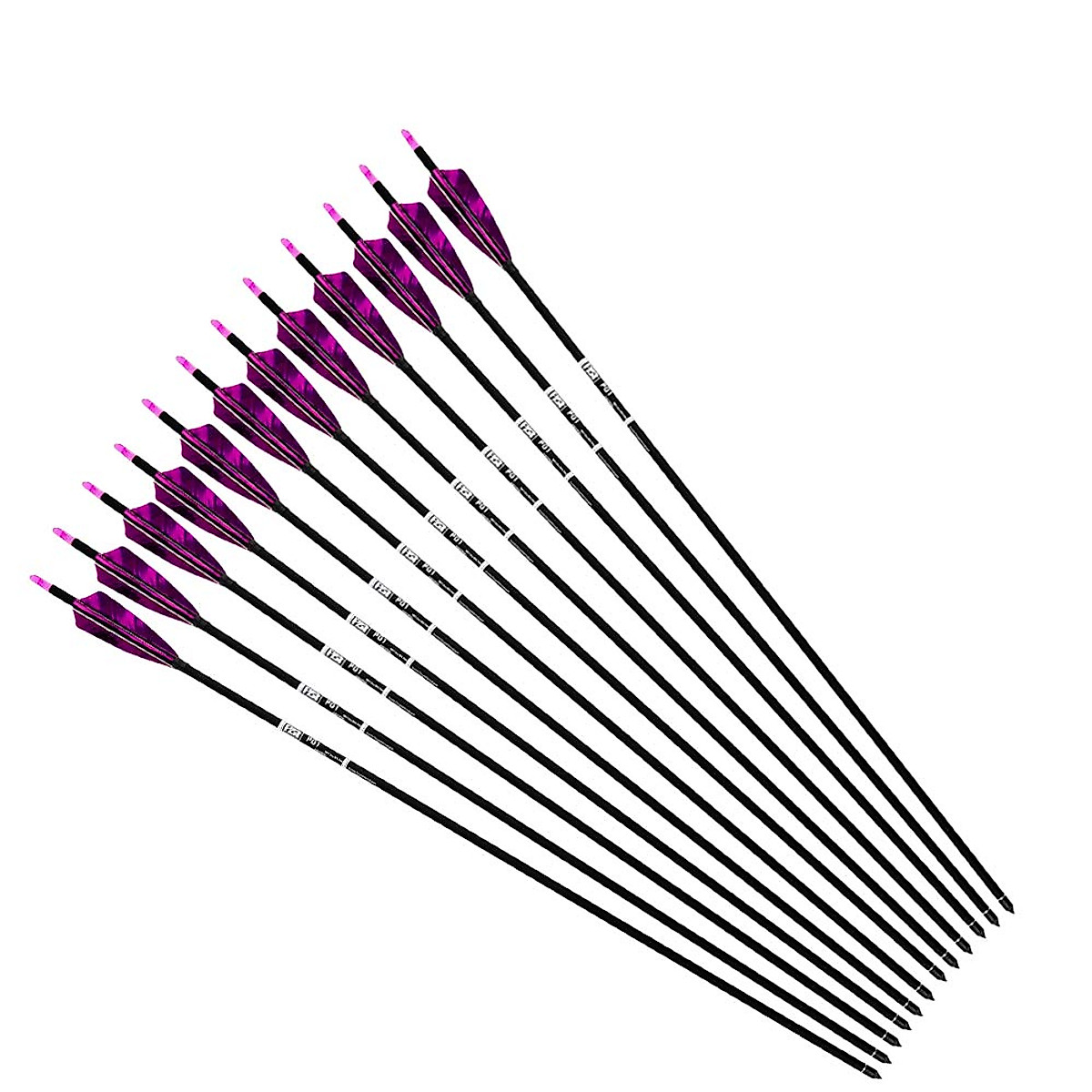 PG1ARCHERY 31-Inch Carbon Arrows Target Practice Hunting Arrow with 4" Shield Fletching spine 500 Arrows for Recurve Bow LongBow Compound Bow Pruple (Pack of 6)