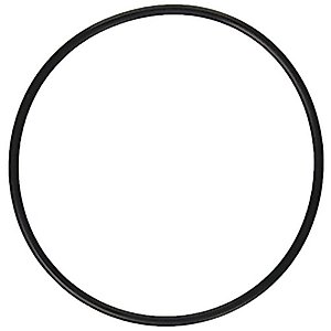 General Electric WS03X10038 Water Filter Housing O-Ring Gasket