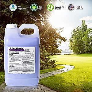 Avian Migrate Goose Deterrent, Bird Repellent Concentrate, Geese Repellent, Non-Toxic, Made in The USA, Removes Geese from Beaches, Yards, Ponds, Parks and Ground (2.5 Gallon)
