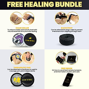 Mushie Ventures 4-in-1 Dog Knee Brace Bundle For Cruciate Ligament Injury, Luxating Patella, Torn ACL Knee with Adjustable Front Hind Leg Brace with Back Strap, Calm Collar, Therapeutic pad(SMALL DOG)