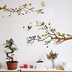 Maydahui Little Birds on Tree Branches Wall Decal Vinyl Wall Sticker (34 x 34 Inch) Removable Peel and Stick Art Murals Decor for Bedroom Offices Classroom Living Room Background
