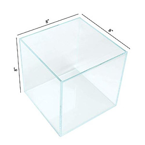 Boutique Betta Rimless Low Iron Glass Aquarium Tank 20x20x20cm 5mm Thickness Standard Jointed