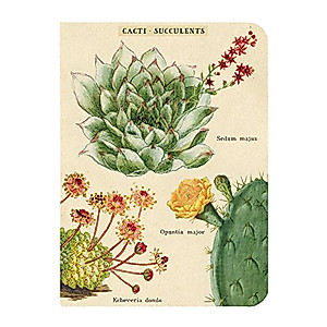 Cavallini Papers & Co., Inc. Succulents Mini Notebooks 4 x 5.5