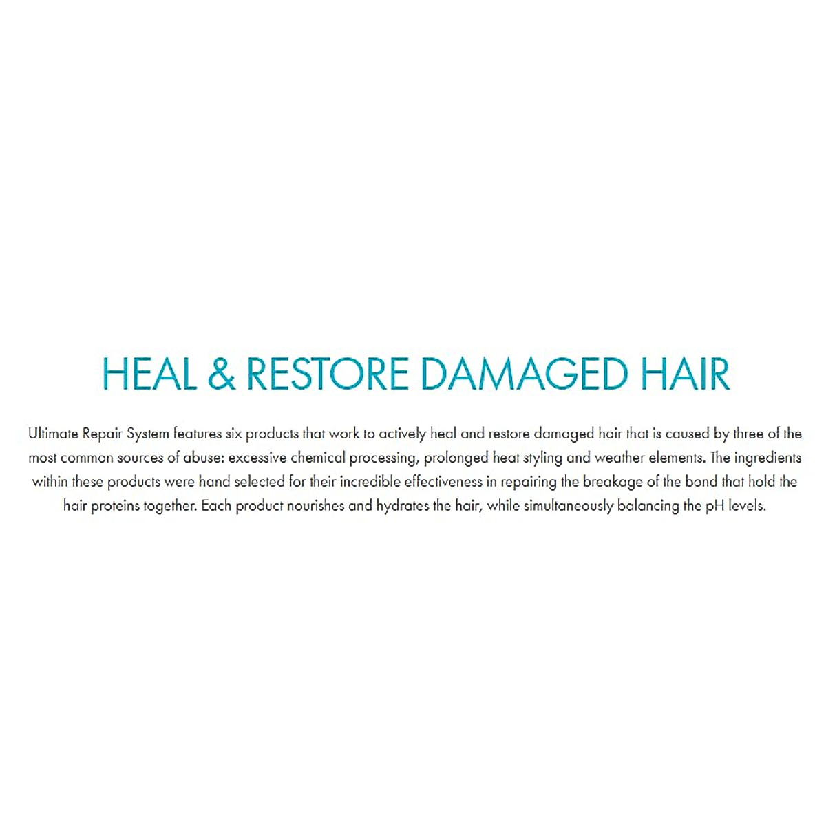 HAIR BAR NYC Ultimate Repair System Revival Conditioner | Hair Treatment for dry damaged hair | Deep conditioner for dry damaged hair | Keratin/Color Safe INFUSED WITH MARINE KERATIN (300ml 10.2fl.oz)