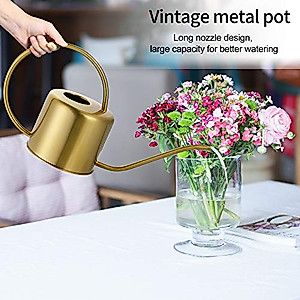 Long Spout Watering Can Nordic Style Brushed Stainless Steel Plant Watering Pot for Indoor and Outdoor Garden House Flower Bonsai Plant (40oz/1300ml) (1 Golden)