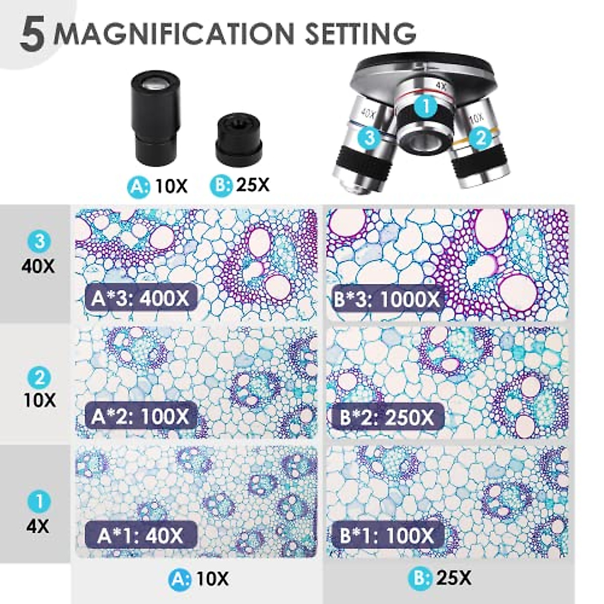 Microscopes for Kid Student Adult, 40X-1000X Compound Monocular Microscope with Microscope Slides Set, Phone Adapter, Dual LED Illumination Powerful Biological Microscopes for School Home Education