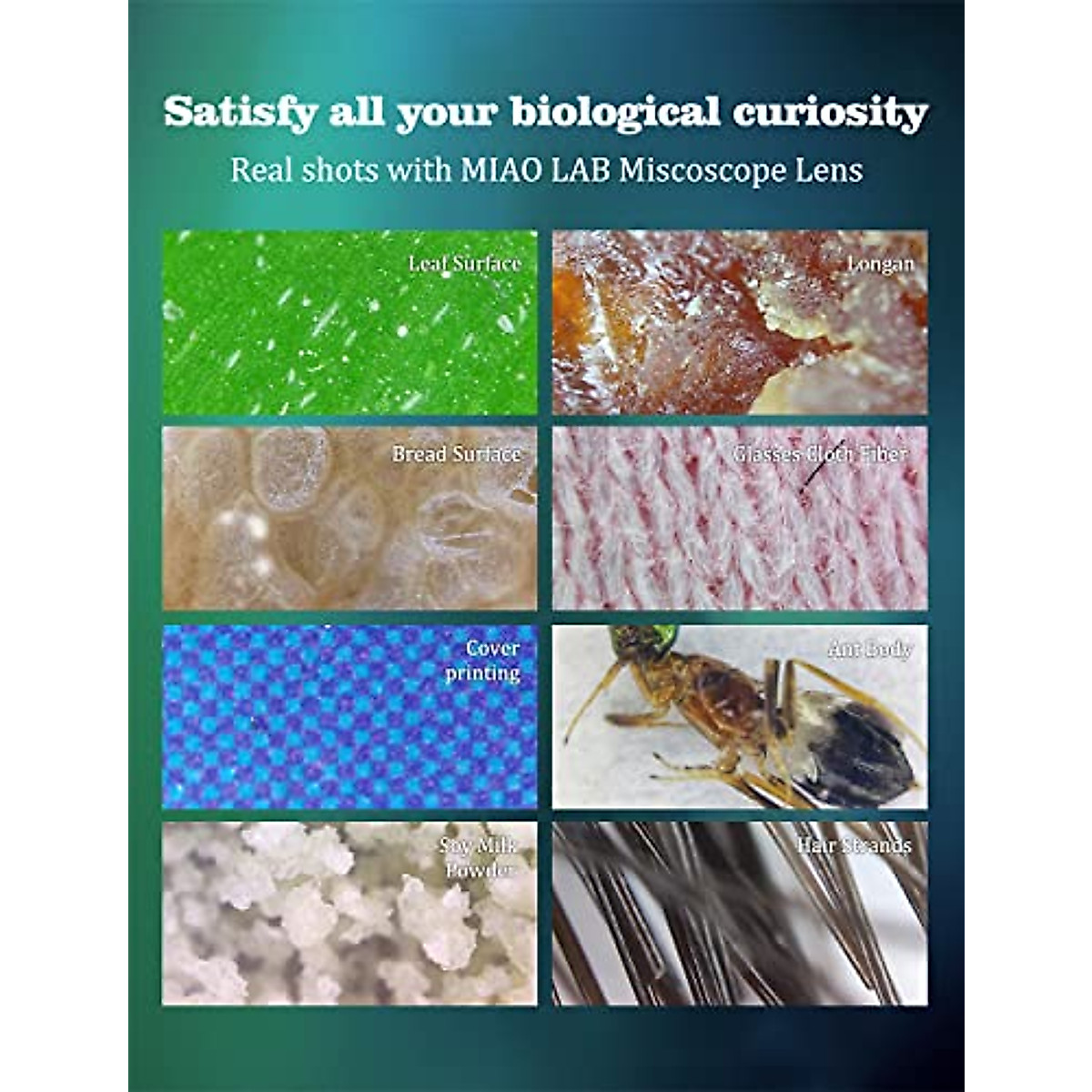 Phone Microscope with CPL Lens/LED Light,200X Pocket Microscope with Universal Phone Clip Compatible with iPhone/Andriod Phone-The Best Portable Microscope to Enjoy Microworld for Kids and Adults