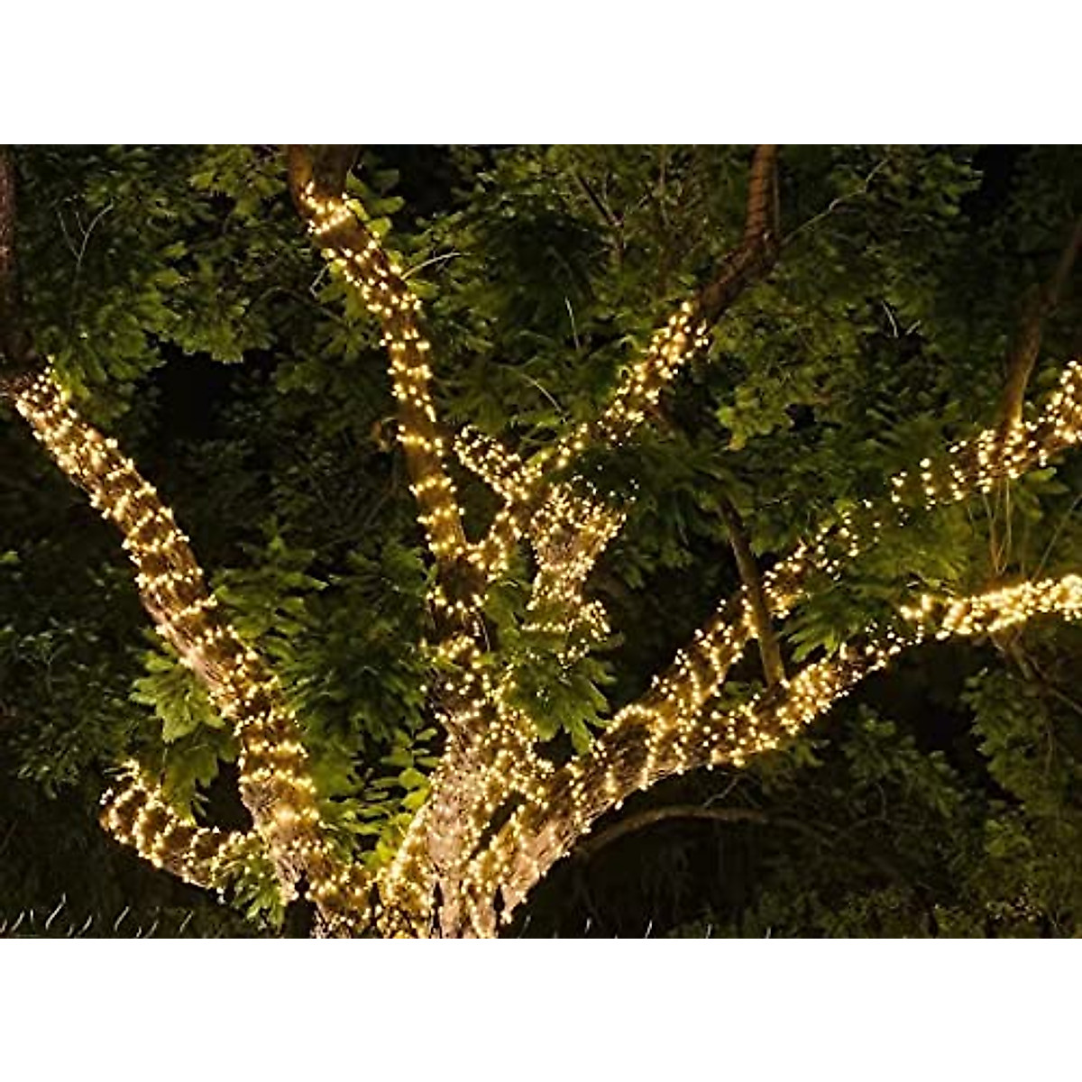 KAQ 115FT 300LED Warm White Christmas String Lights Indoor/Outdoor, Waterproof Christmas Lights with 8 Modes, Clear Wire Fairy Tree Lights for Garden Bedroom Christmas Decorations (Warm)