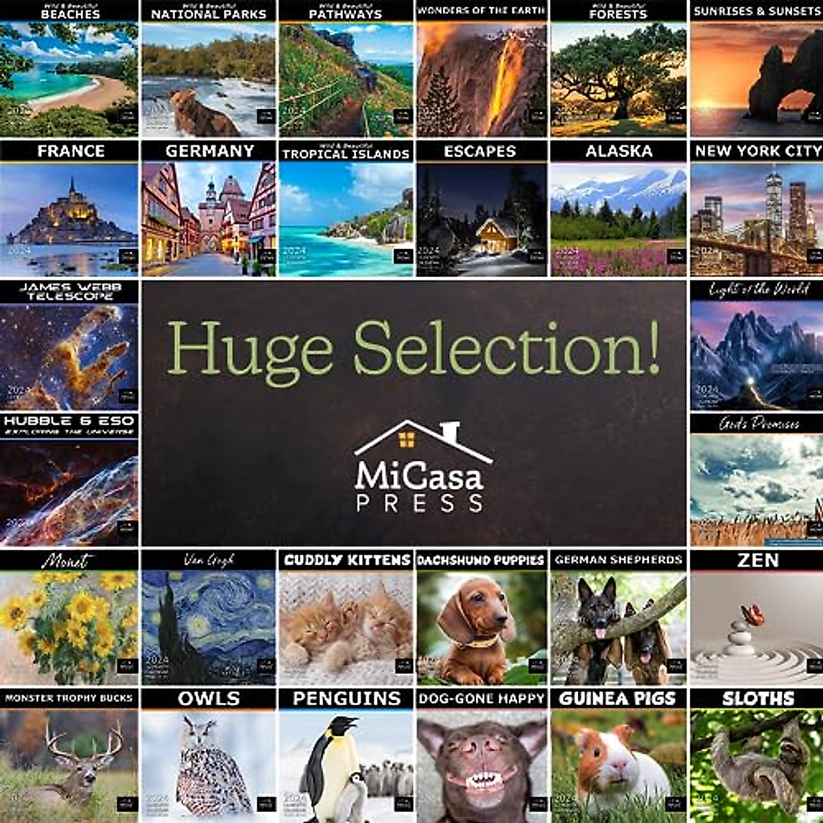 MICASA Australian Shepherds 2024 Wall Calendar 12 Month | 12" x 24" Open | Thick & Sturdy Paper | Giftable | Calendar 2024