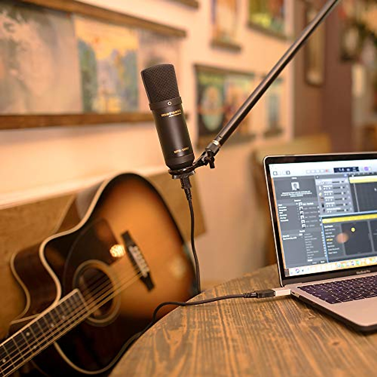 Marantz Professional MPM-1000U | Large Diaphragm USB Condenser Microphone for Podcasting & Recording, Including USB Cable & Mic Clip, Black