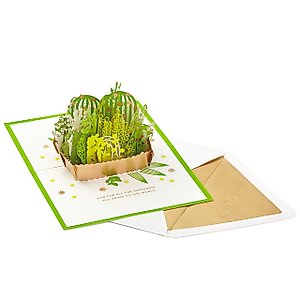Hallmark Signature Paper Wonder Pop Up Thank You Card, Succulents (Nurses Day Card, Teacher Appreciation, Healthcare Worker Gift) (1299RZH1132)