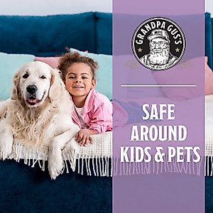 Grandpa Gus's Bed Bug Glue Traps for Home & Travel, Early Detection, Lasts up to 6 Months, Small & Discreet Patented Crush-Proof Design (Pack of 12)