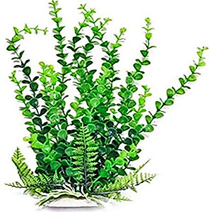 Aquatop Aquatic Supplies Elodea Plant 6in Green 60