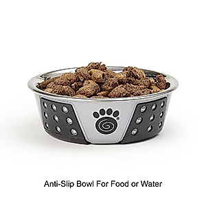 PetRageous 13097 Fiji Stainless Steel Non-Slip Dishwasher Safe Dog Bowl 1.75-Cup Capacity 5.5-inch Diameter 1.75-inch Tall for Small and Medium Size Dogs and Cats, Light Grey and Black