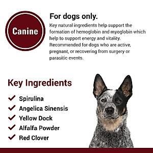 Vet Classics Blood & Energy Support for Dogs, Supports Endurance with Spirulina, Yellow Dock, & Alfalfa Support Formation of Hemoglobin and Myoglobin, 120 Chewable Tablets
