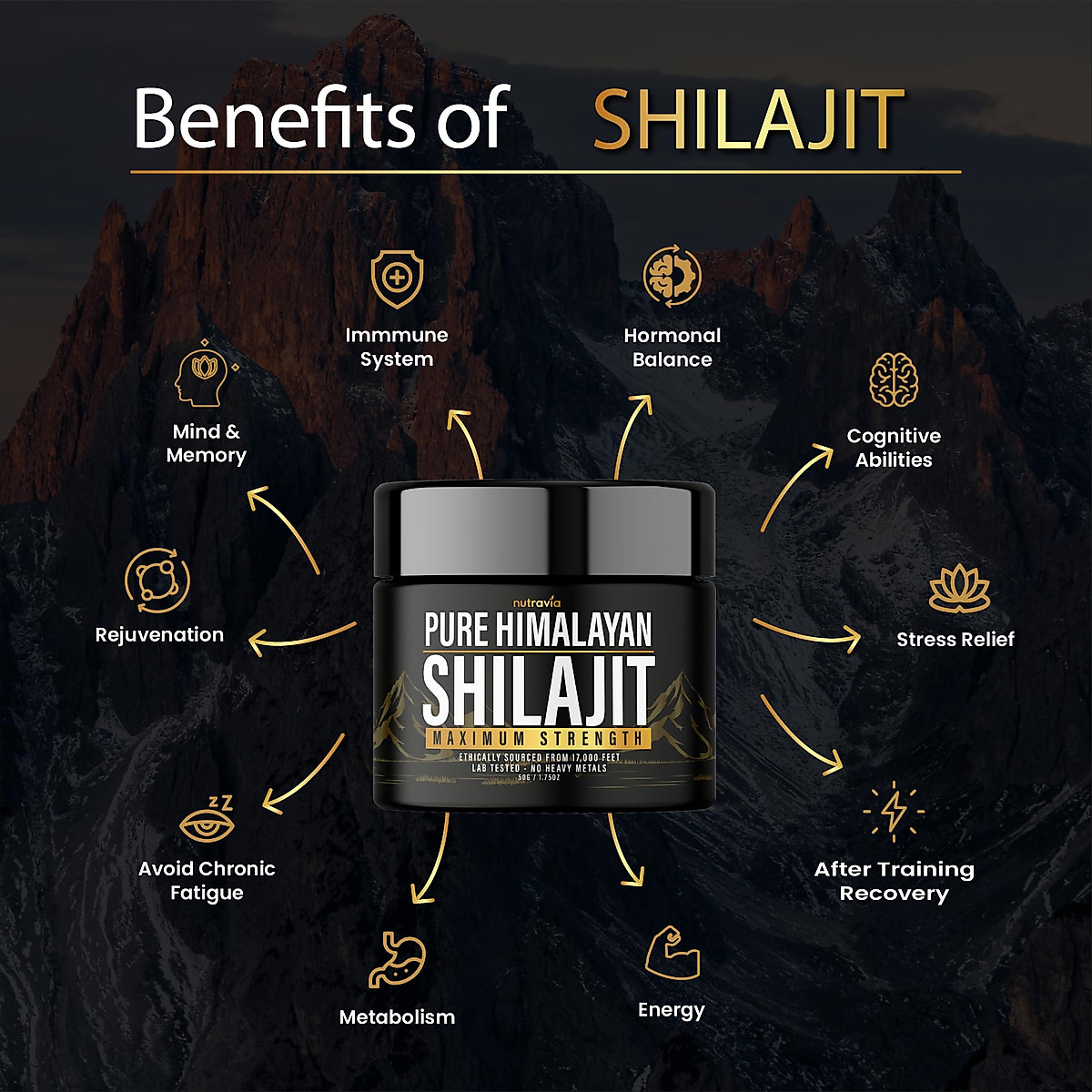 Shilajit Pure Himalayan Organic Resin - Natural Authentic Lab Tested Formula for Men, Women - No Heavy Metals - 600mg Max Strength with 85+ Trace Minerals Golden Grade Shilajit Supplement (1 Pack)