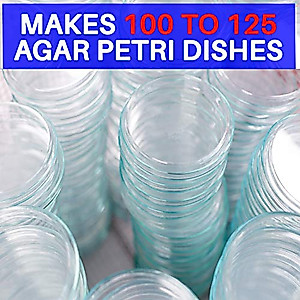 Potato Dextrose Agar Powder 100 Grams - Evviva Sciences - Makes 100-125 Premium Agar Petri Dishes - Premium Performance - Excellent for Mold & Fungus - Great for Mushrooms & Science Projects