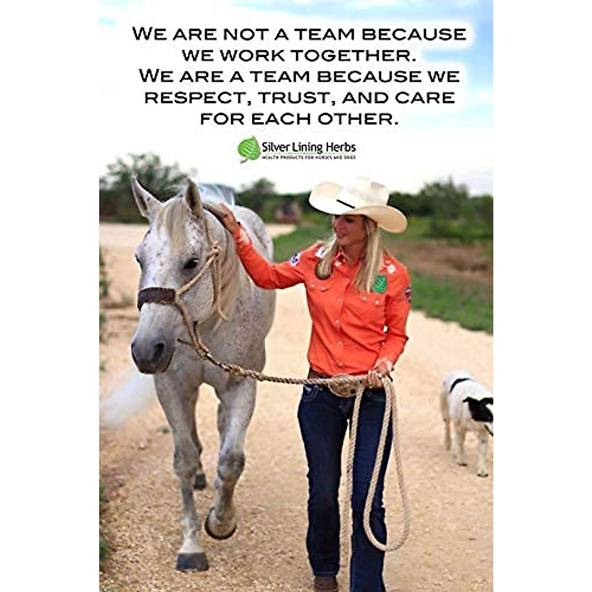 Silver Lining Herbs 20 Keep Cool Equine Calmer - Natural Herbal Horse Supplement - Supports Calming Anxious and Excitable Horses - Helps Maintain Contentment and Relieve Stress - 1 lb Bag