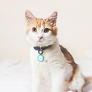 Pawaii QR Code Pet ID Tag, Silent Silicone Dog ID Tag, Modifiable Pet Online Profile, Free Online Pet Page Emergency Contact, Scan QR Receive Instant Pet Location Alert Email, 1Pack (Purple)