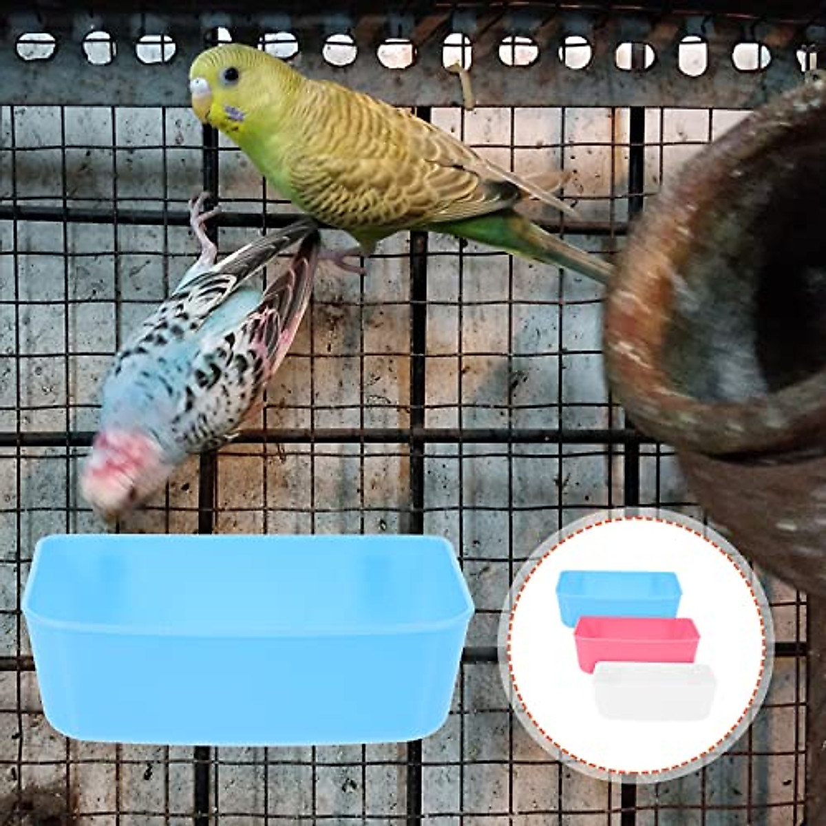 POPETPOP 3pcs Bird Feeding Dish Cups Parrot Food Feeder Bowl Water Feeding Plate Bird Cage Accessories for Parakeet African Greys Conure Cockatiels Lovebird Budgie Chinchi