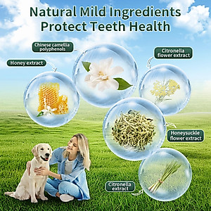 Borgobrufa Dog Teeth Cleaning Wipes, Teeth Cleaning Finger Wipes for Dogs & Cats, Disposable Natural Teeth Care Wipes Gentle Cleaning & Gum Care Pet Wipes Reduces Plaque & Freshens Breath, 55 Pcs