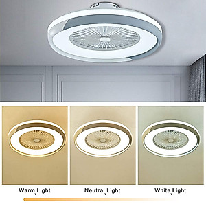 YIYIBYUS 23.5-Inch Modern Fan Chandelier LED 3 Colors 3 Speed with Remote Control Ceiling Fan Ceiling Light Mute Suitable for Living Room Bedroom Dining Room (White and Grey)