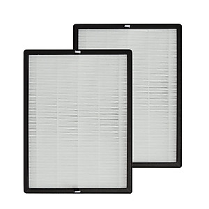 PUREBURG Replacement Filter Compatible with TaoTronics TT-AP007 Air Purifier,2-Pack H13 HEPA Activated Carbon 2-in-1 4-Stage Filtration Air Clean Dust VOCs
