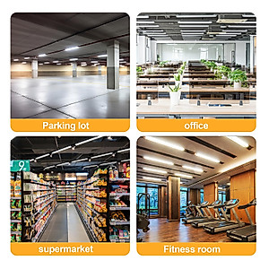 T8 T12 LED Tube Light Bulbs 4 Foot, ETL DLC litsted, Plug & Play or Ballast Bypass, Super Bright 24W 5000K 3120LM Durable Type A+B Light Tube, T8 4ft Fluorescent Tube Replacement (6 Pack Clear)