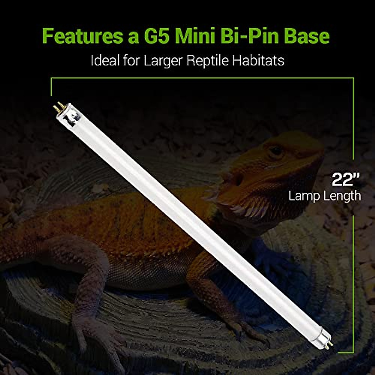 2 Pack 24W-Watt T5 HO Reptile Light Desert UVA UVB 10.0 Fluorescent Tube - 22" Terrarium Hood Light Suitable for Desert Reptile Lizards Bearded Dragons & Promotes Natural Behavior UVB Bulb (22Inch)