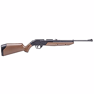 Crosman 760B Pump Master .177-Caliber Pellet/BB Air Rifle