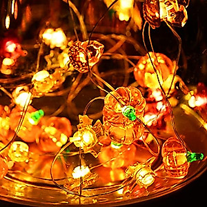 TWONGIFT Autumn LED Solar String Lights Outdoor,40LED Maple Pumpkin Acorn Thanksgiving Decorative Lights Indoor,18ft Fall Garland Solar Turkey Lights for Halloween,Garden,Mantel,Kitchen(8 Modes)