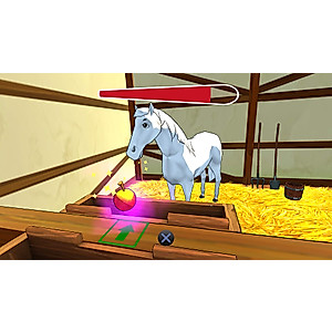 Bibi & Tina: Adventures with Horses (PS4)