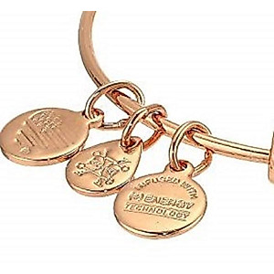 Alex and Ani Hello Kitty Duo Charm Bangle Bracelet Shiny Rose Gold One Size