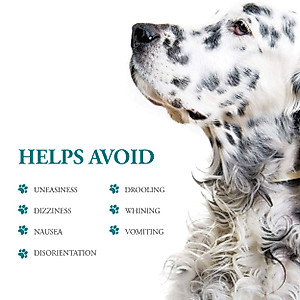 Nausx (51-90lbs Anti Nausea/Motion Sickness Treatment and Preventative for Dogs (NSXL)