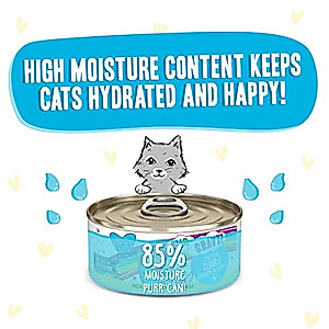 Weruva B.F.F. OMG - Best Feline Friend Oh My Gravy!, Chicken Cloud 9 with Chicken in Gravy, 5.5oz Can (Pack of 8)