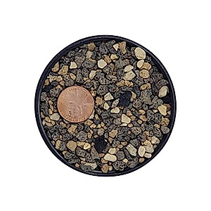 Bonsai Soil Mix - Premium Professional, All Purpose, Sifted and Ready to Use Tree Potting Blend in Easy Zip Bag - Akadama, Black Lava, Pumice & Charcoal (1.25 Quart)