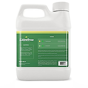 Grass Paint Concentrate (500-1,000 sq ft) - for Dormant, Patchy or Faded Lawn - Lush Green Turf Colorant (32 fl oz)