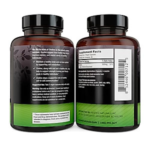 Nested Naturals Choline Bitartrate 500mg | High Potency Choline Supplements | Supports Cognitive Performance & Liver Function | 100% Vegan & Non-GMO Choline | 90 Vegan Capsules
