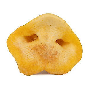 BRUTUS & BARNABY Pig Snout Dog Treat - 100% Natural - Our Healthy Pig Snouts for Dogs are Easy to Digest, Chemical & Hormone Free, Thick & Hearty Chew, Great for Small Or Large Dogs